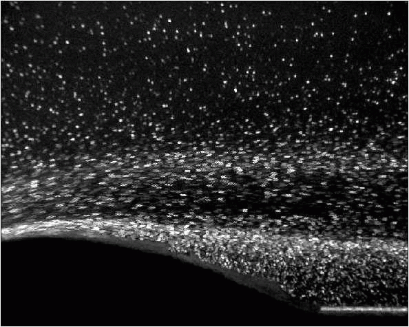 Topographic effects on selective